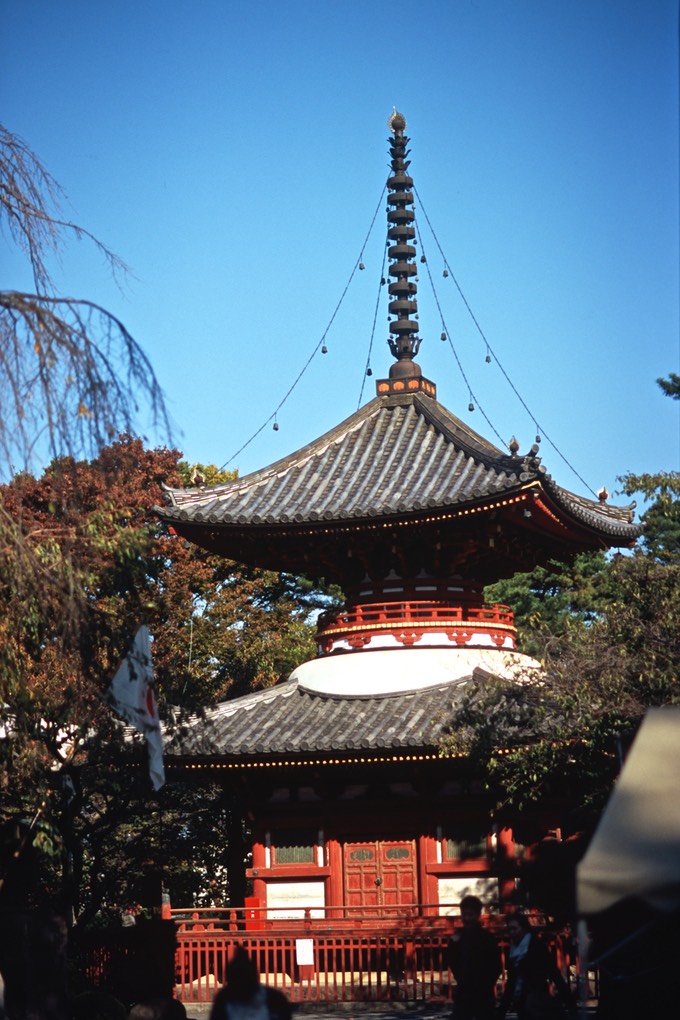 Kawagoe | Runacres @ Large | David Runacres