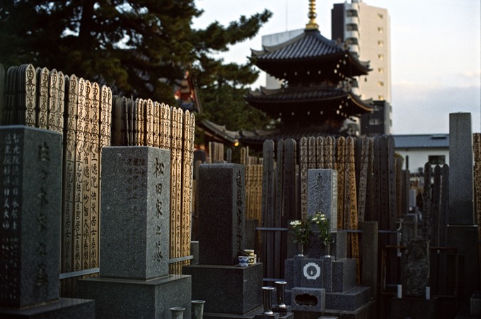 Walking Meguro River | Runacres @ Large | David Runacres