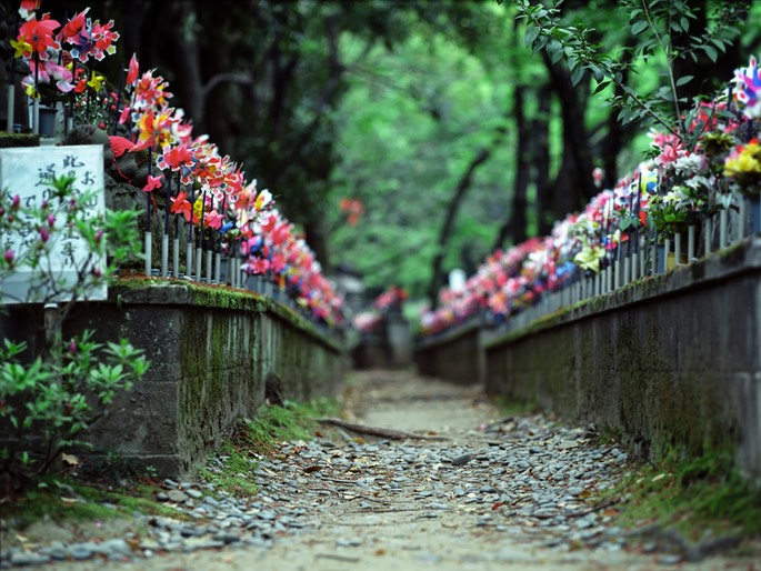 Shibakoen | Runacres @ Large | David Runacres