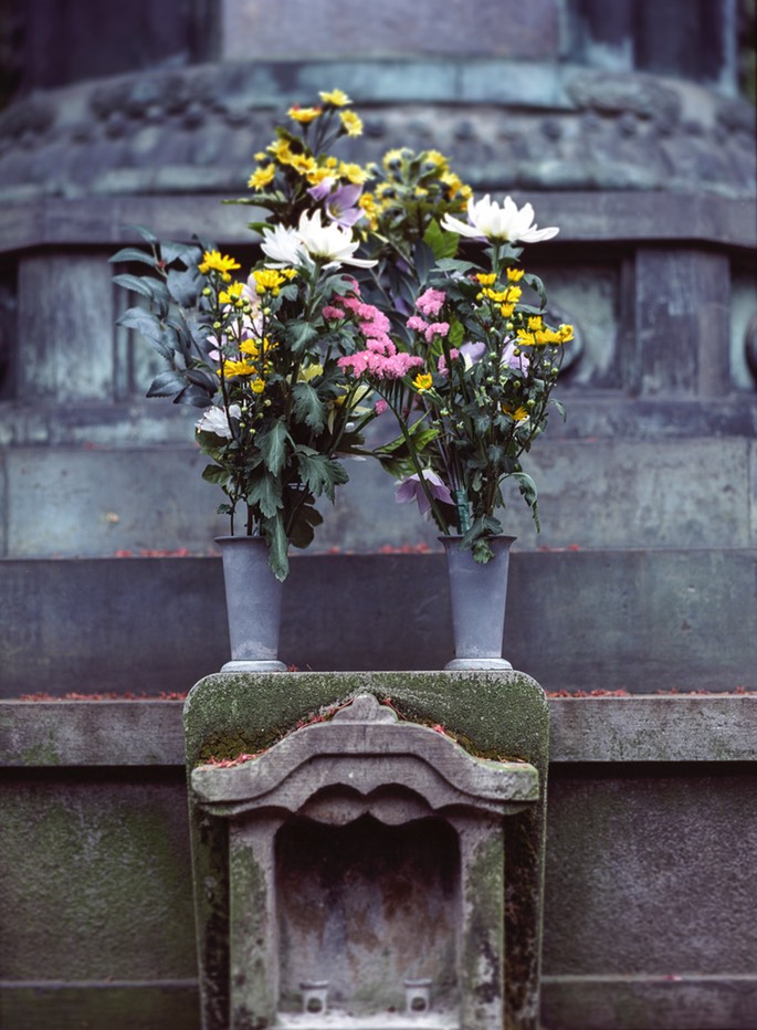 Shibakoen | Runacres @ Large | David Runacres